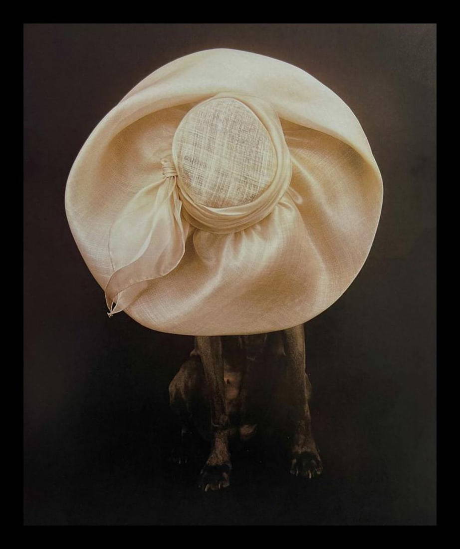 William Wegman, Cream Puff Auction