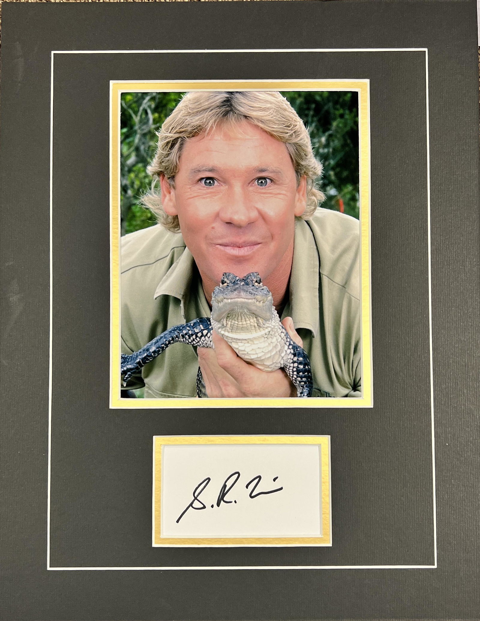 Steve Irwin Autographed Display