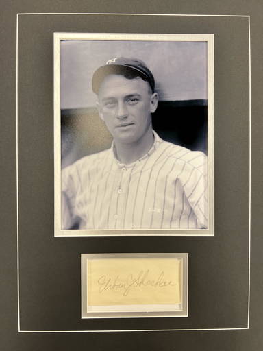 Urban Shocker Autographed Display (#0058) on Jan 31, 2023 | ICZ ...