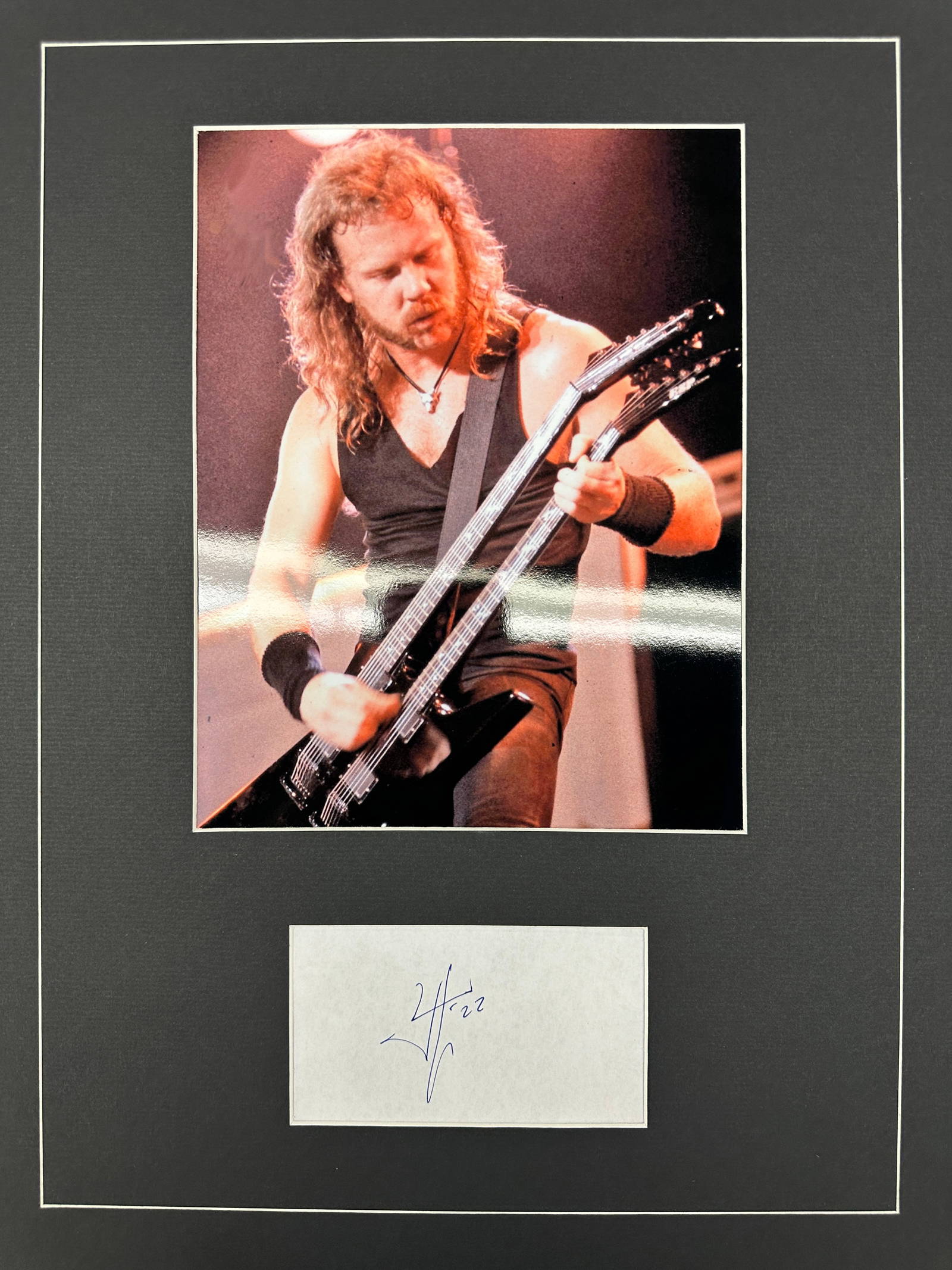 James Hetfield Autographed Display Auction