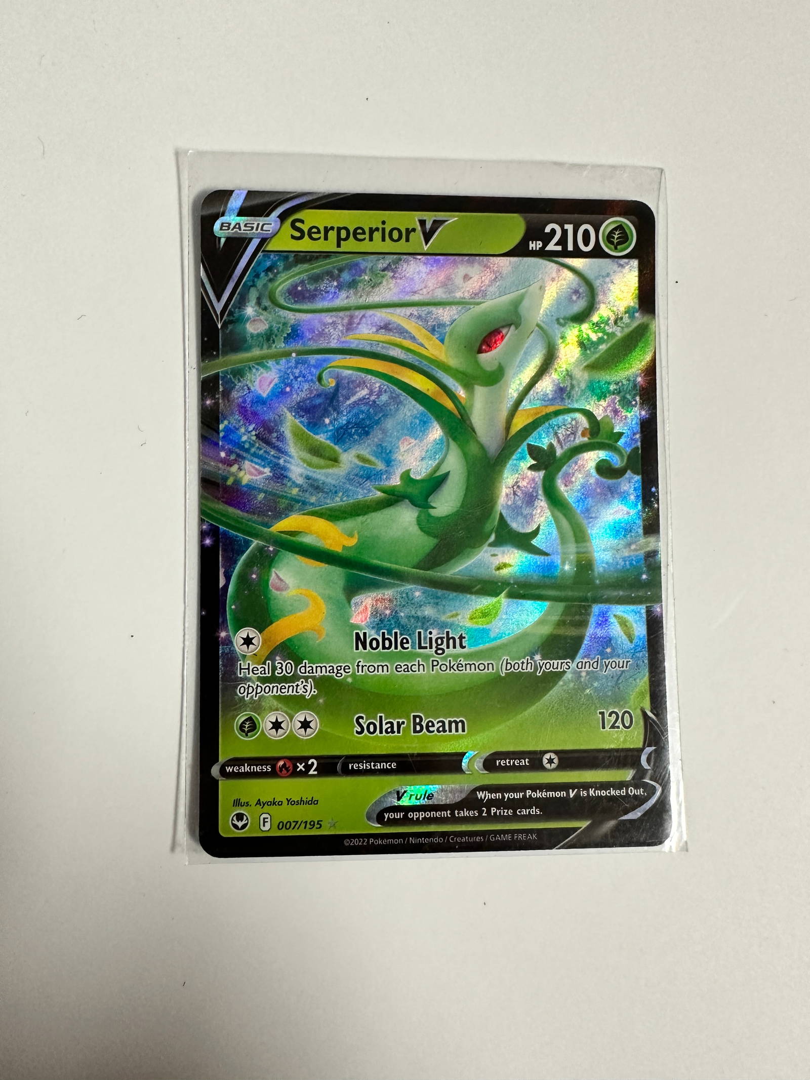 Serperior Pokemon Card Auction