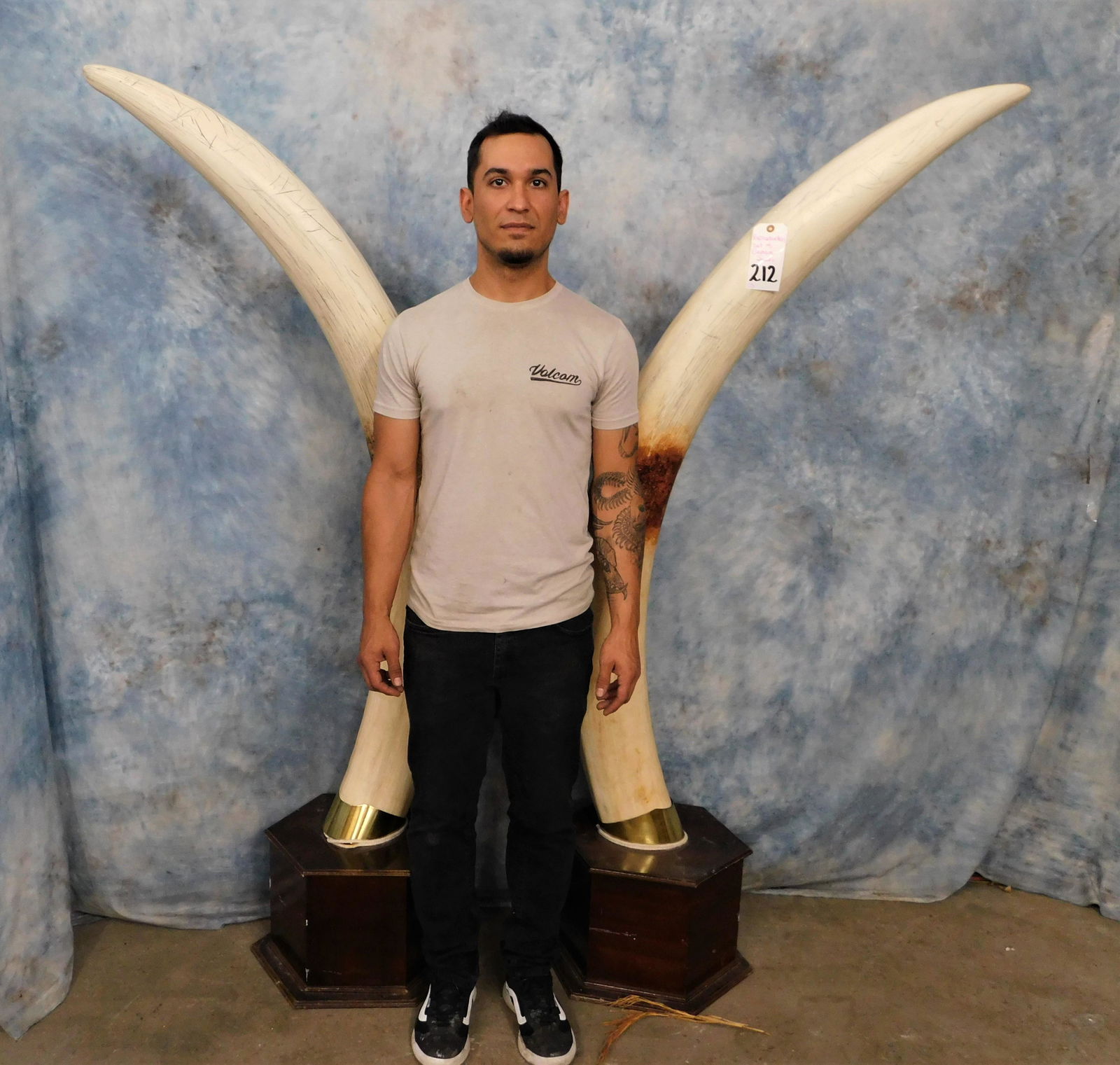 REPRODUCTION SET OF ELEPHANT TUSKS - May 29, 2020 | Taxidermy King in Texas