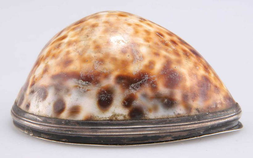 A Scottish Silver Mounted Cowrie Shell Snuff Box, Late 18th Century