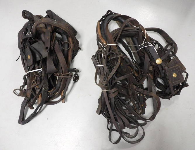 Set Of Us Army Harness