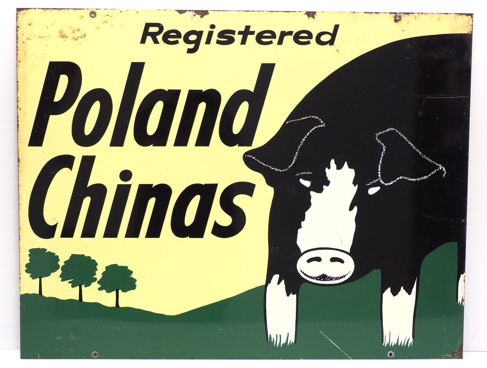 Poland China Hogs Sign Auction