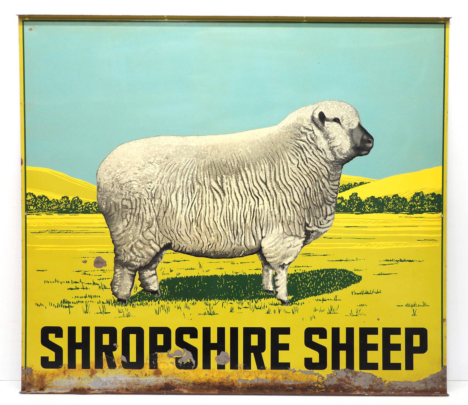 Shropshire Sheep Sign Auction