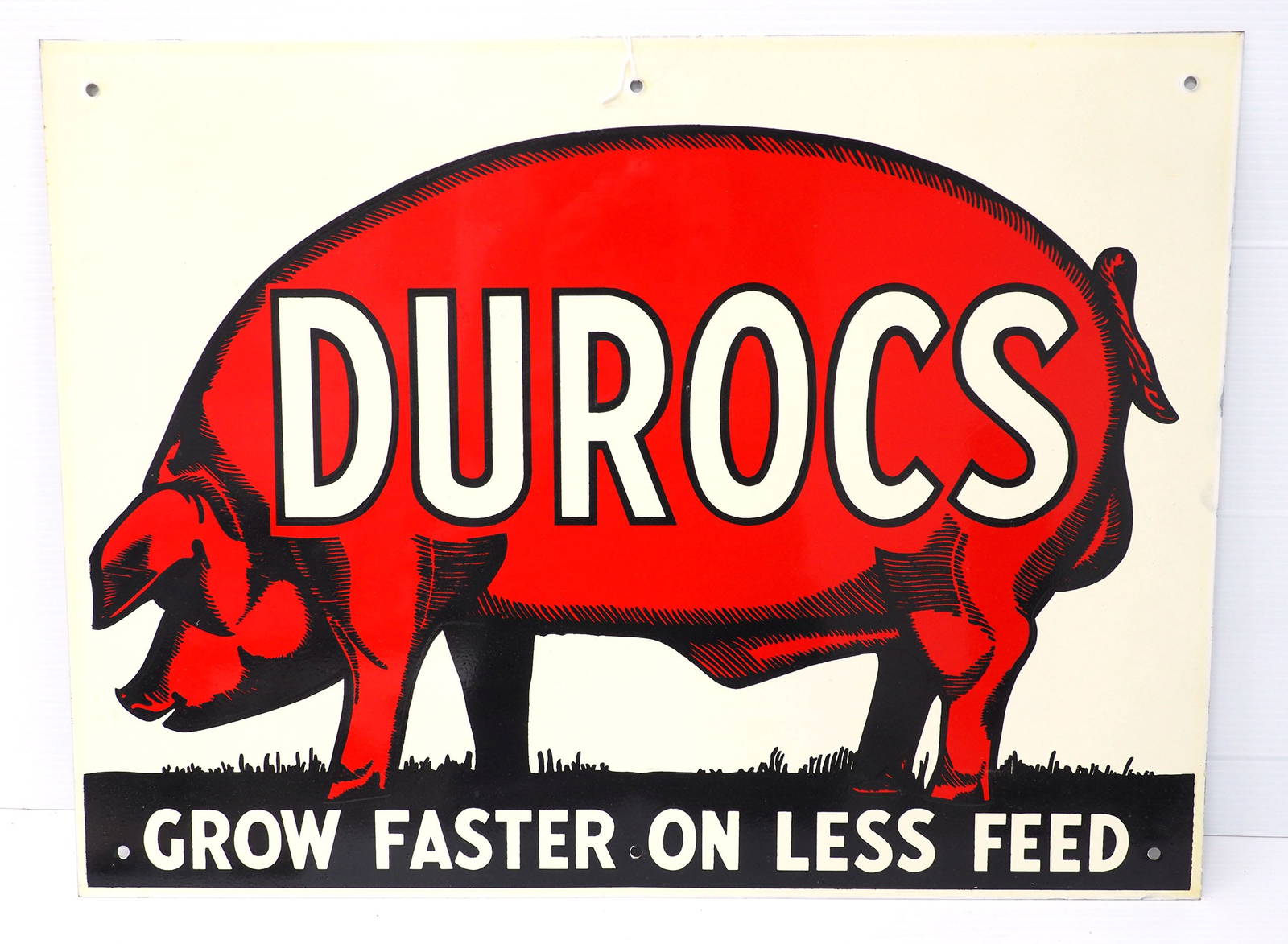 Durocs Hog Sign Auction