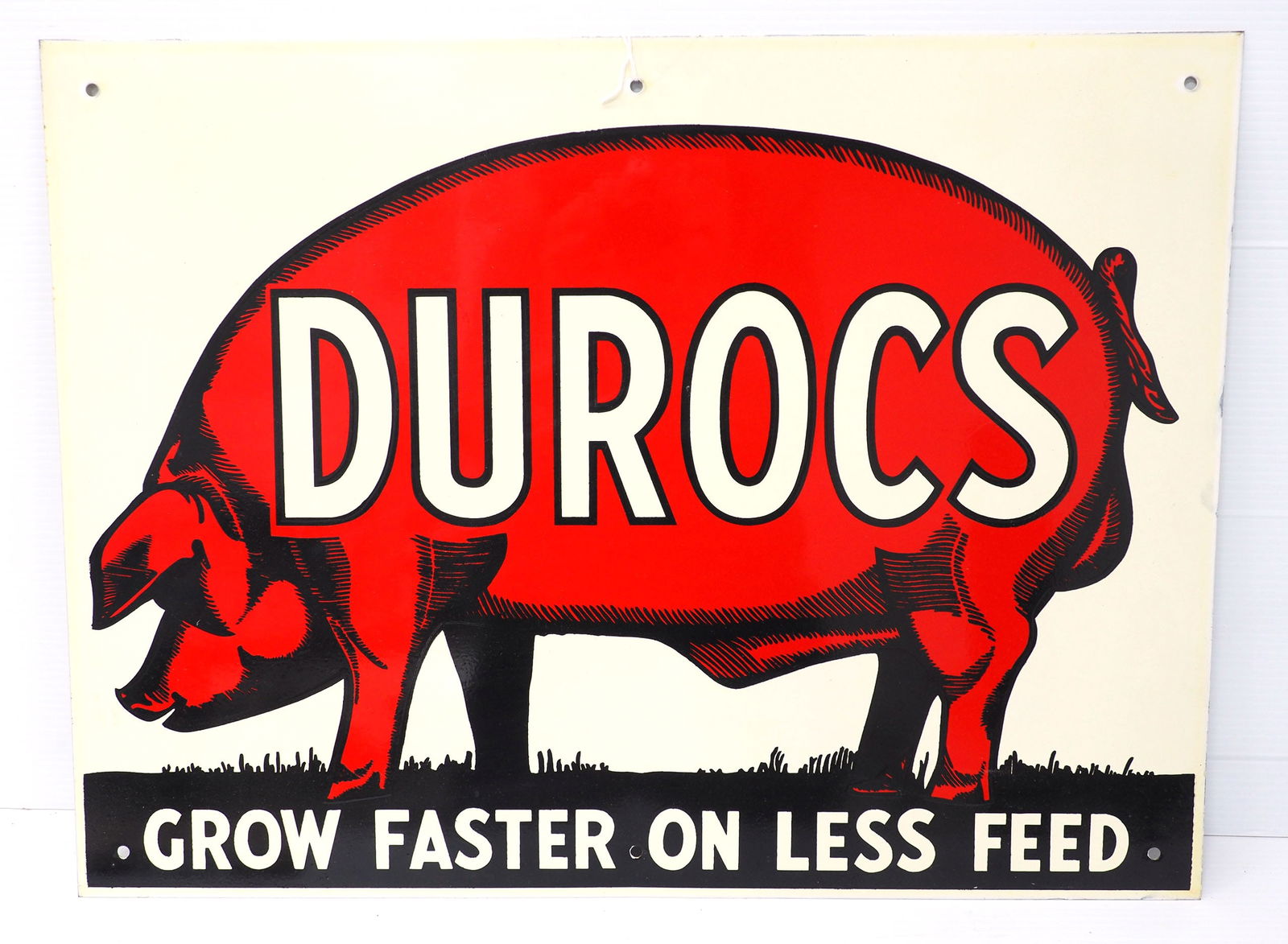Durocs Hog Sign Auction