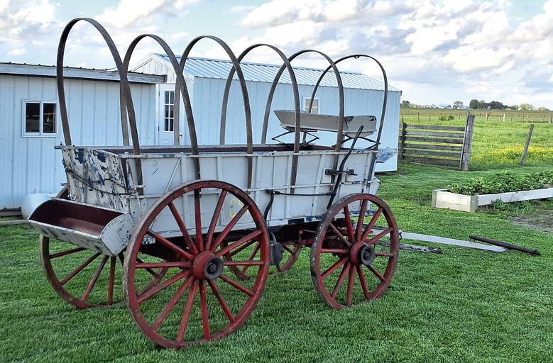 Csa Military Wagon With Seat
