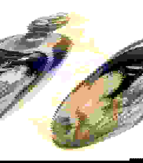 Amphora Rstk Pottery Vase. Spider Web And Flowers Auction