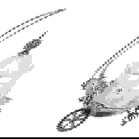 Victorian Pickle Castor Auction