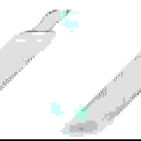 1990's Coca Cola Extra Large Display Bottle Auction