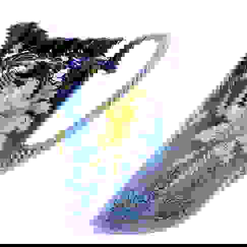 Pitcher Marked Saxe Altenburg Auction