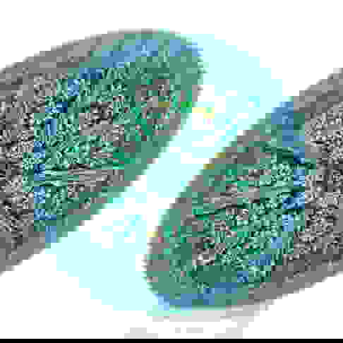 Paperweight Signed Perthshire Auction