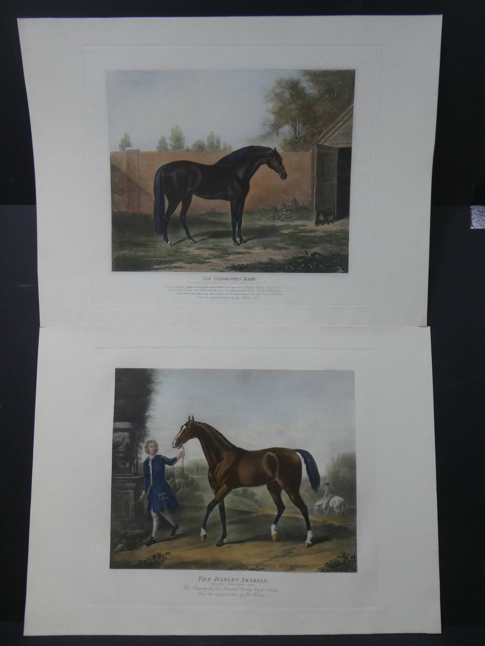 Pair Antique Original Color Horse Engravings Darley Arabian & Godolphin ...