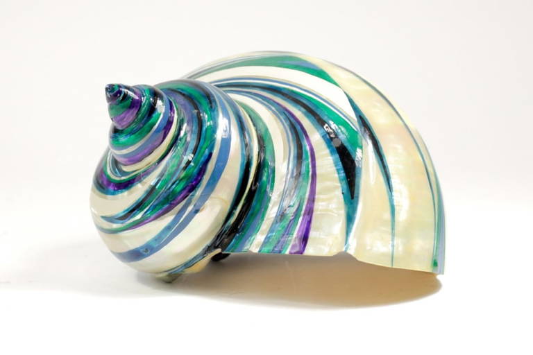 Enameled Giant Marmoratus Green Turban Shell 7"