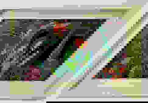 Joe Reno (wa) "the Tulip Garden" Oil On Masonite Auction