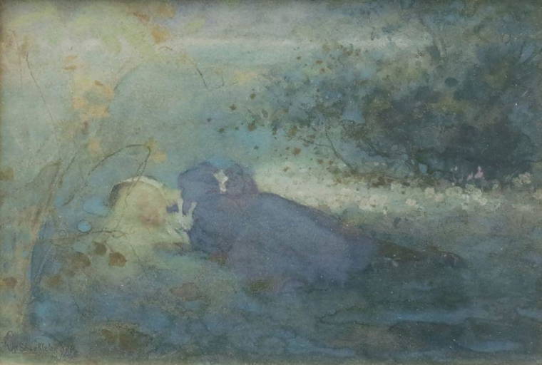 William Shackleton (british, 1872 1933),