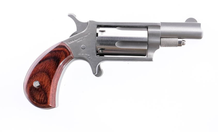 Naa .22 Mag Revolver