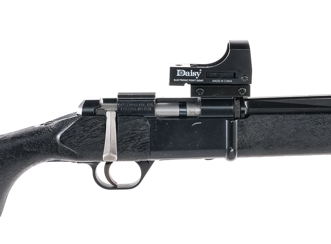 Daisy 2202 .22 Lr Bolt Action Rifle Auction