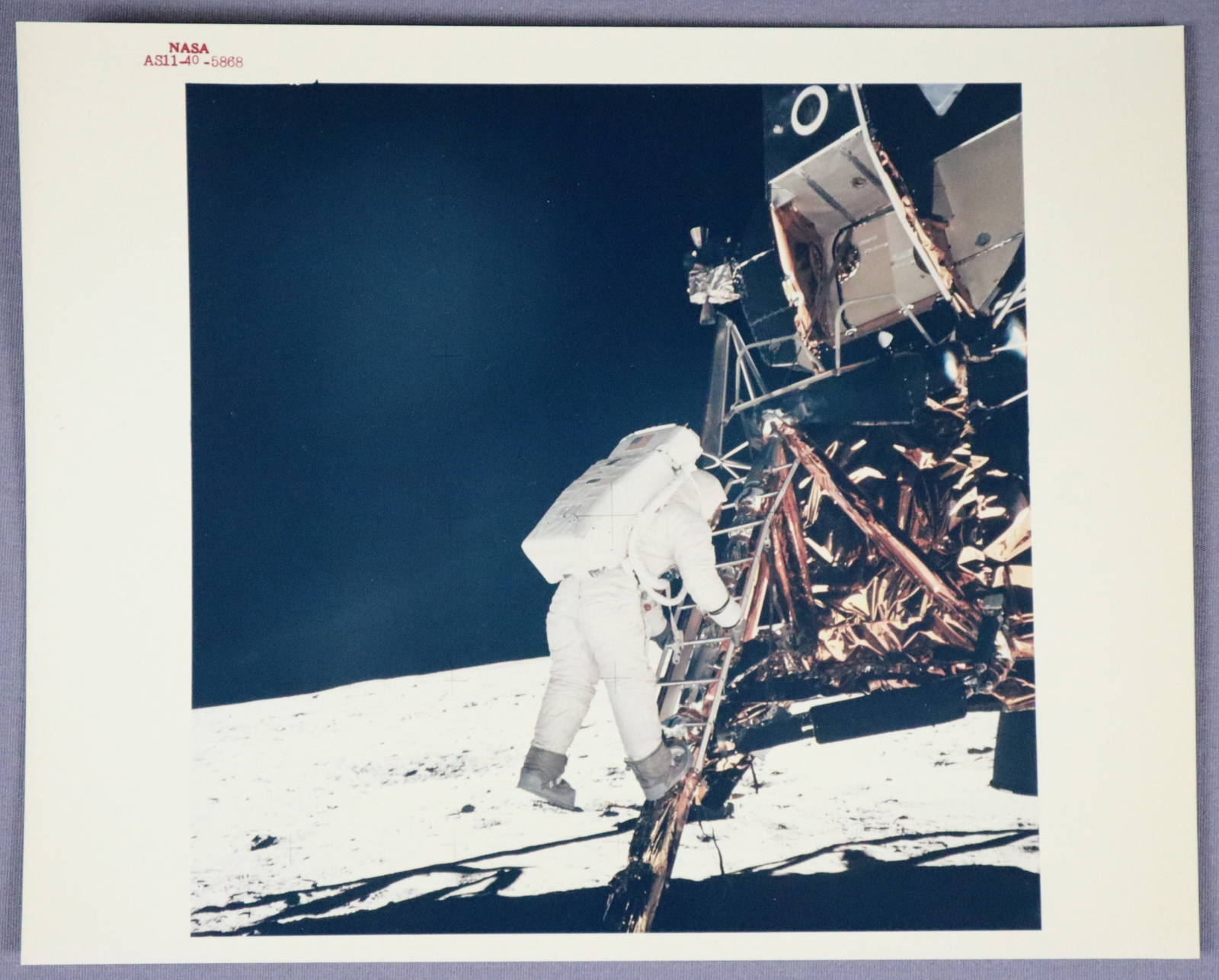 Apollo 11 Buzz Aldrin Descending Lunar Module Red Numbered Photograph ...