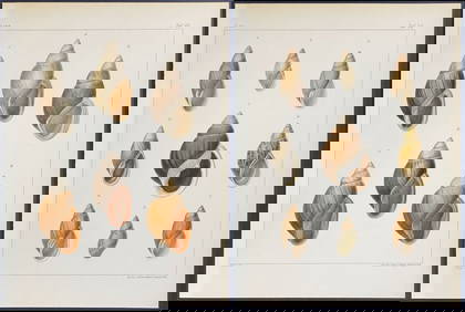 8 Pearce Bates Prints