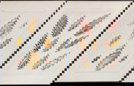 8 Pearce Bates Prints