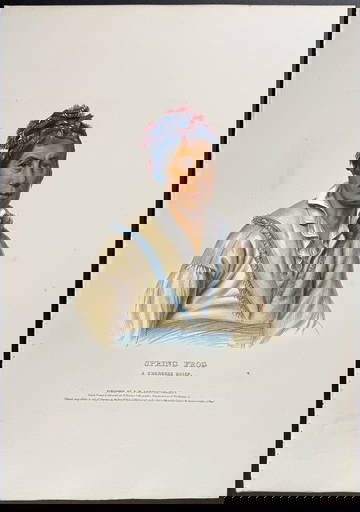 Mckenney & Hall, Folio Spring Frog, A Cherokee Chief