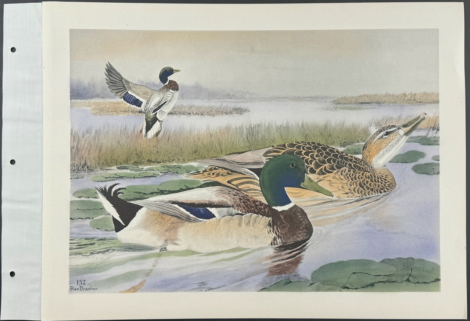 Brasher - Mallard. 132 Auction