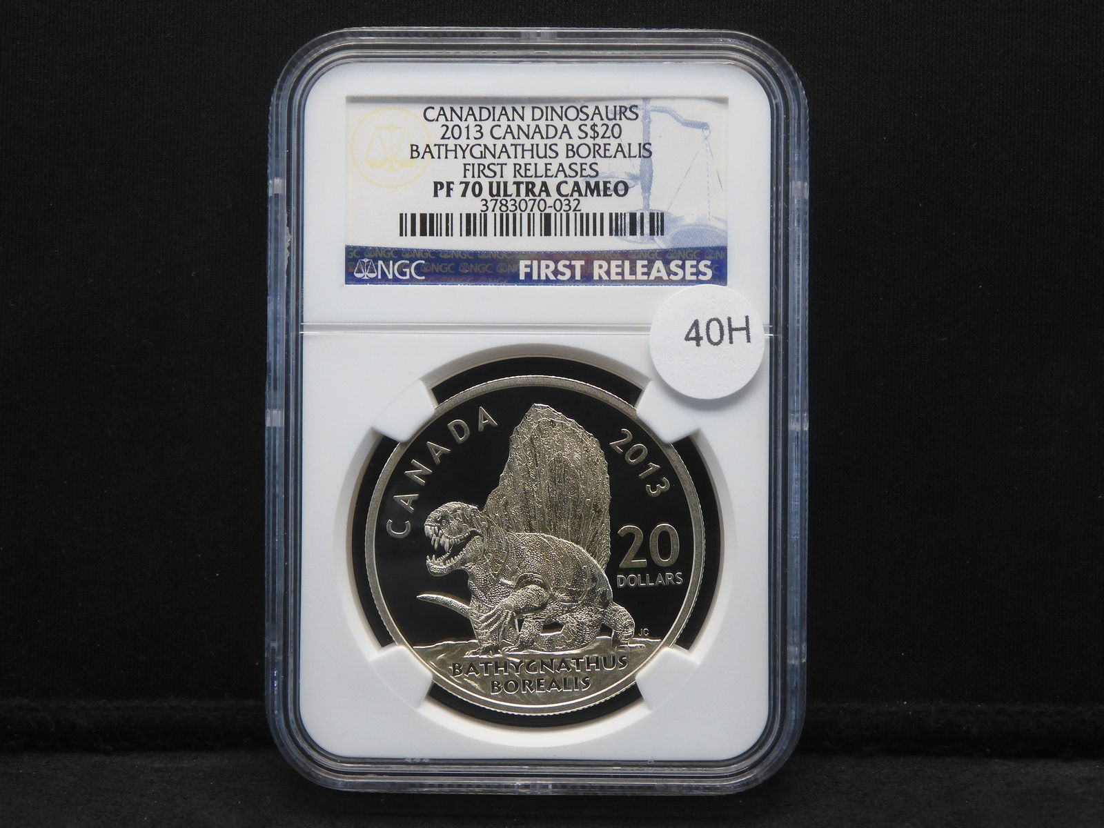 2013 $20 Canadian Dinosaurs Bathygnathus Borealis First Releases NGC ...