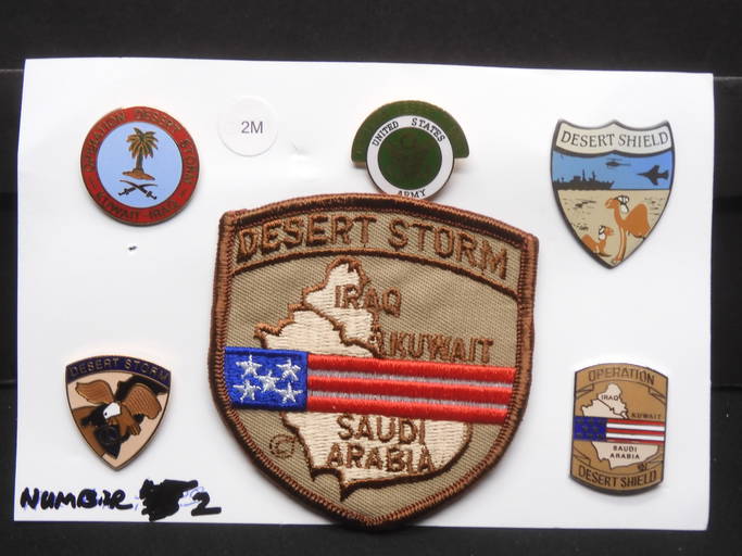 Various Desert Storm Pins And Patches