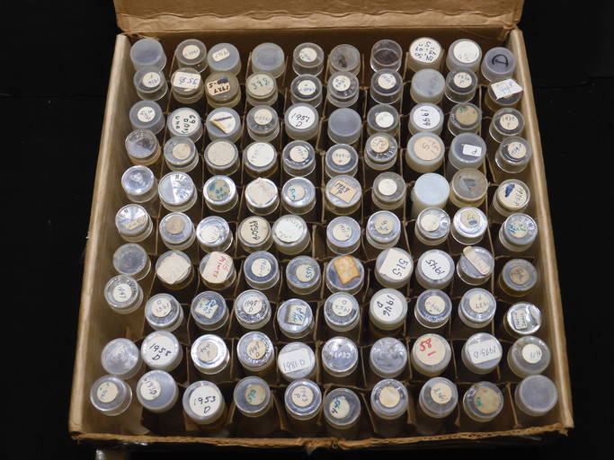 Coin Tube Box With 100 Coin Tubes