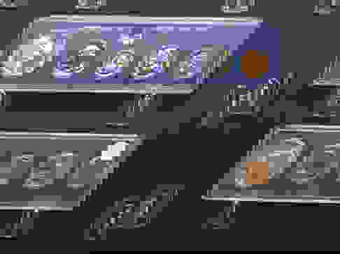 1967 And 1966 Sms Coin Sets Auction