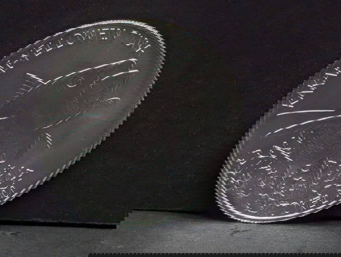 1 Oz. .999 Fine Silver Kakahi Yellowfin Tuna Designed Coin