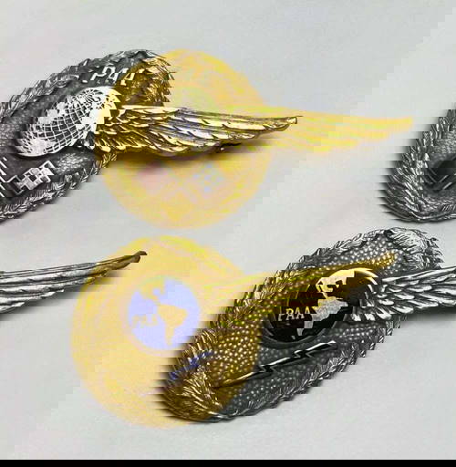 (2) Vintage Panam 10k Gold Wing Pins 16.2 Grams