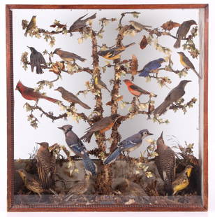 Antique Victorian Bird Diorama.