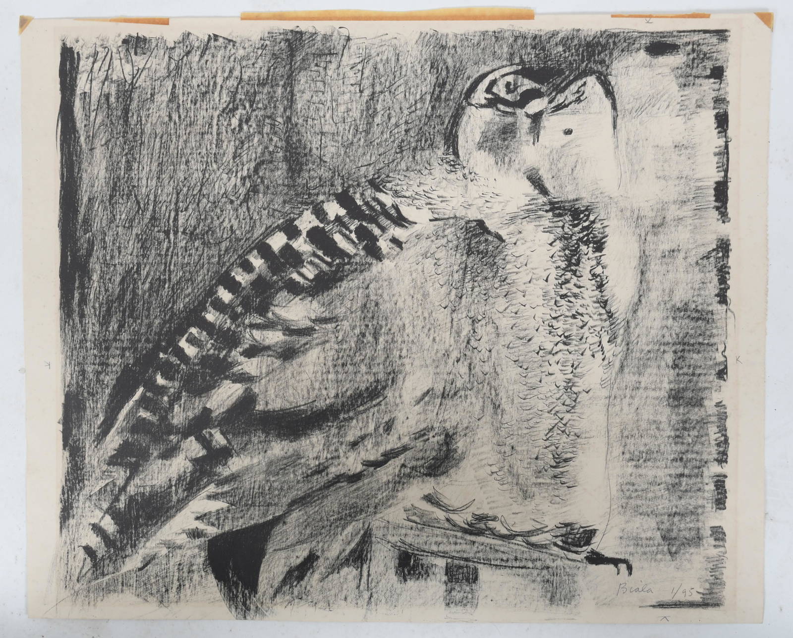 Janice Biala (1903 - 2000) Lithograph (#0355) on Mar 19, 2023 | Locati ...