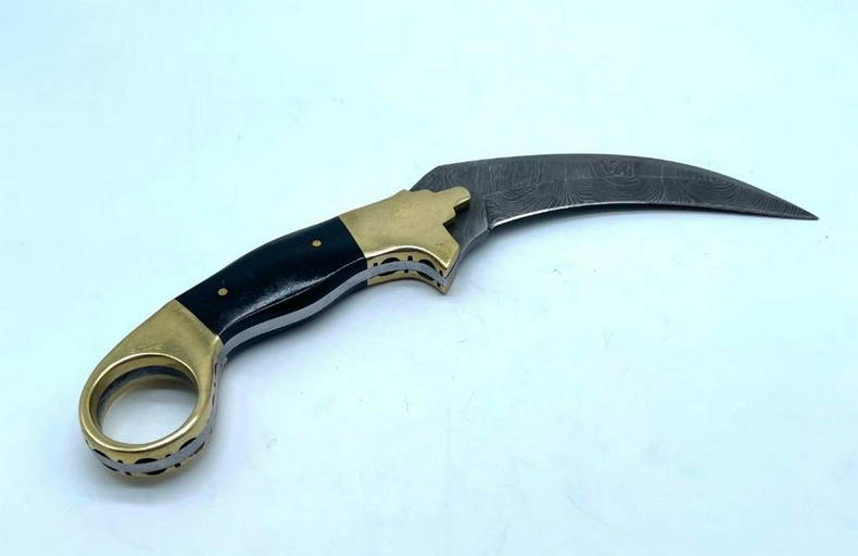 The Raptor Karambit Damascus Steel Talon (#1084) on Jul 12, 2022 ...