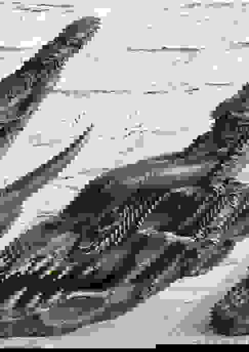 Girl Embracing Demon Skull Bronze Sculpture Auction