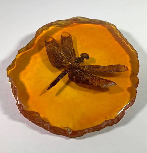 Awesome Amber Encased Genuine Dragonfly