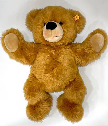 Vintage Steiff Teddy Bear With Ear Tag And Label