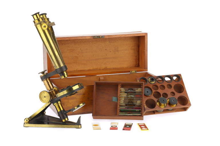 R & J Beck Popular Binocular Brass Microscope,