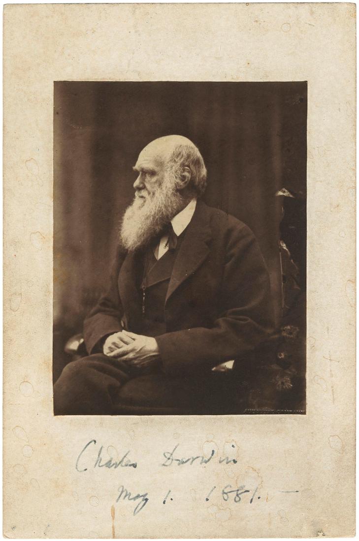 Darwin by his favourite photographer - May 23, 2019 | Christie's in NY