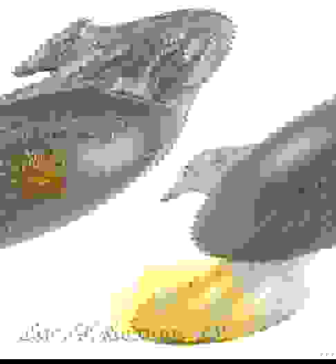 Tabby Cat Bank Cast Iron Mechanical Bank Auction