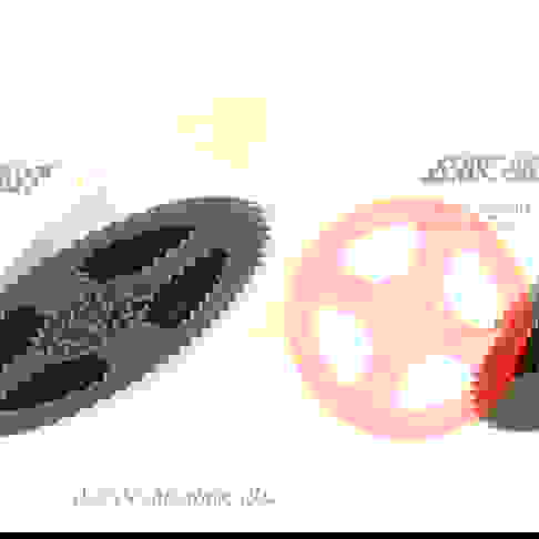 Elvis Presley Movie Newsreels 8mm Film Auction