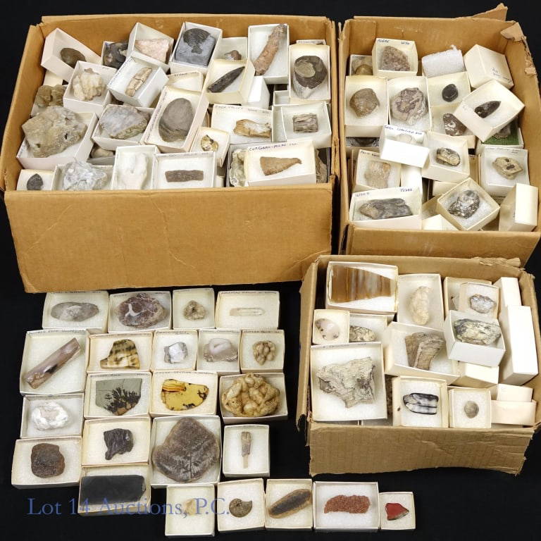 25 Lbs. Mineral Samples, Labeled Auction