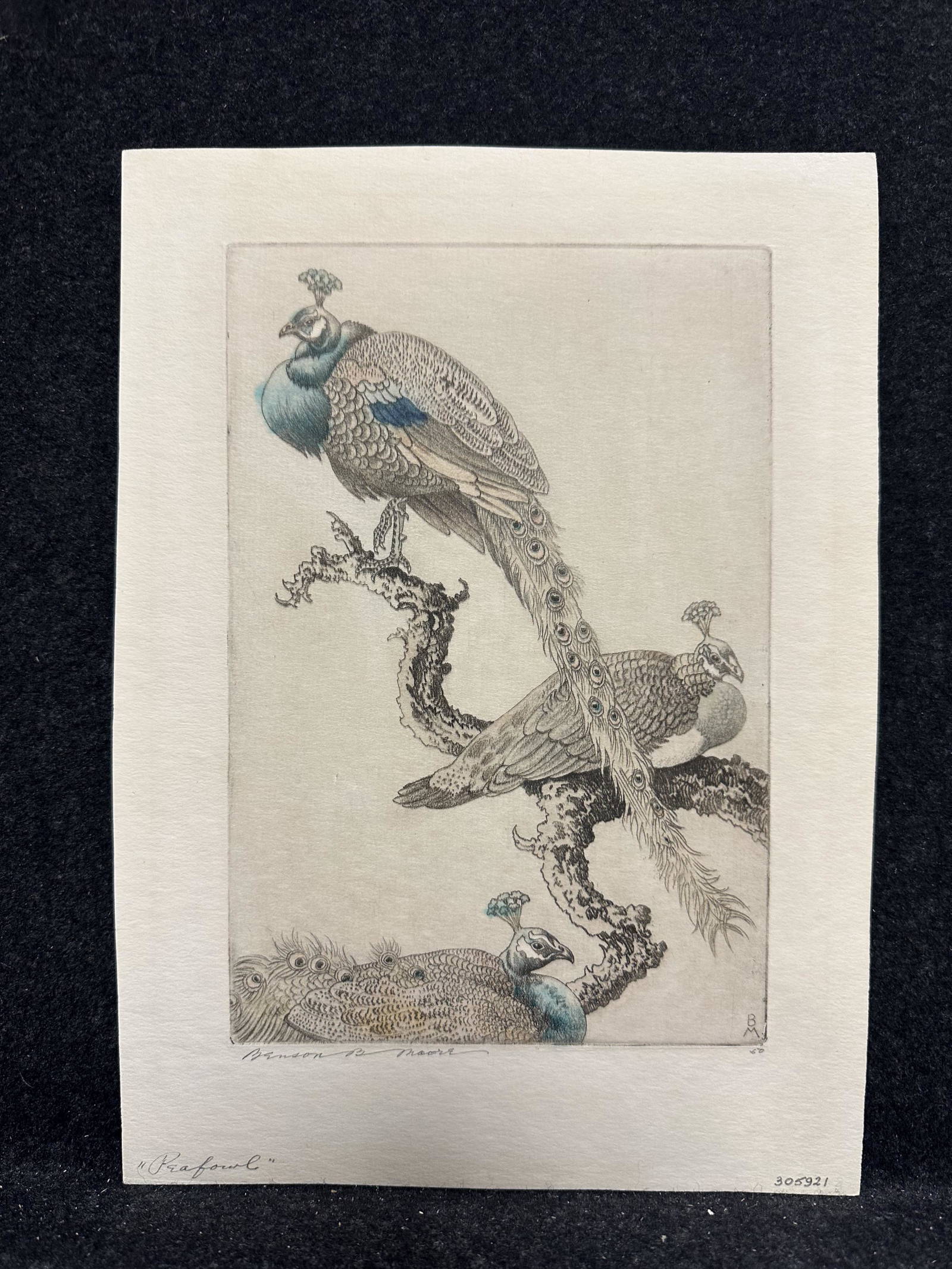 Artist: Benson Bond Moore (american, 1882-1974) Title: Peafoul Year: Ca ...