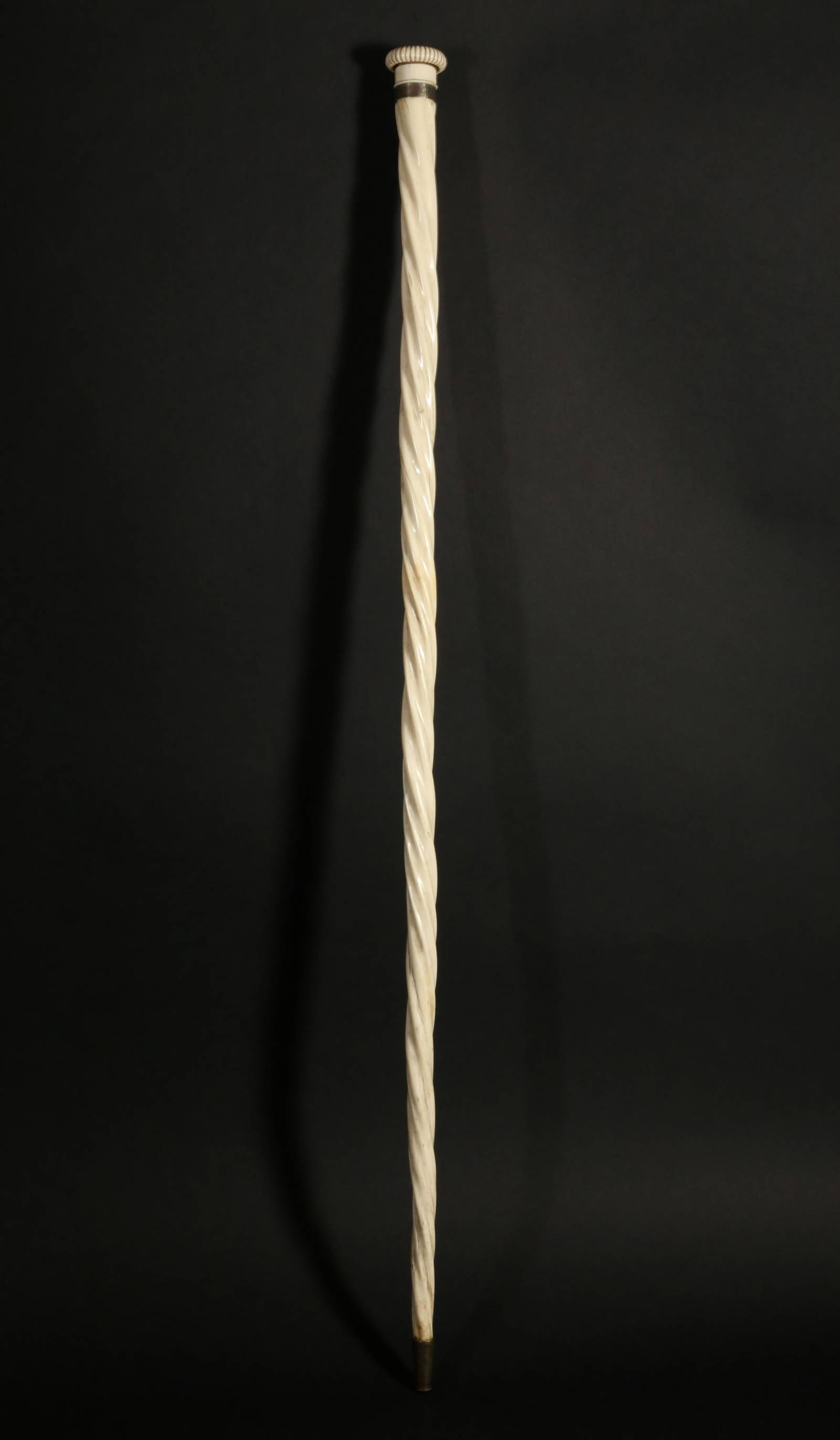 Abalone Canes & Walking Sticks for Sale at Auction