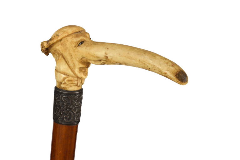 Unusual Bone Handled Long Nosed Man Cane.