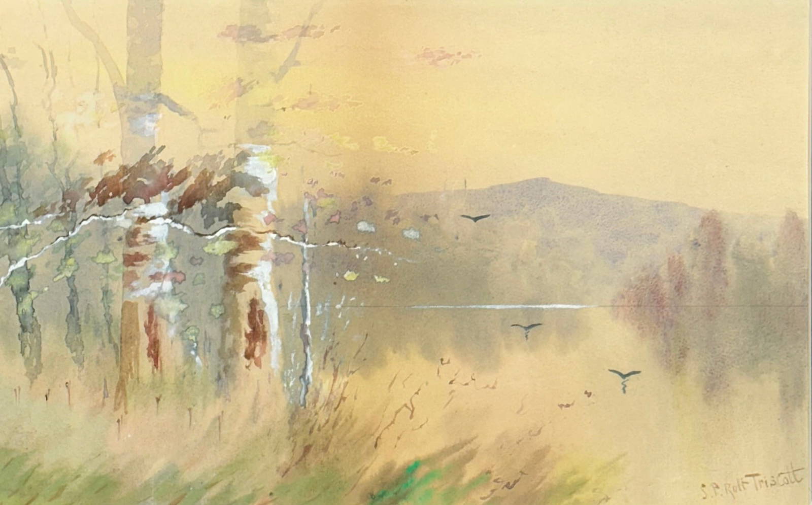 Samuel Peter Rolt Triscott (1846 - 1925) Auction